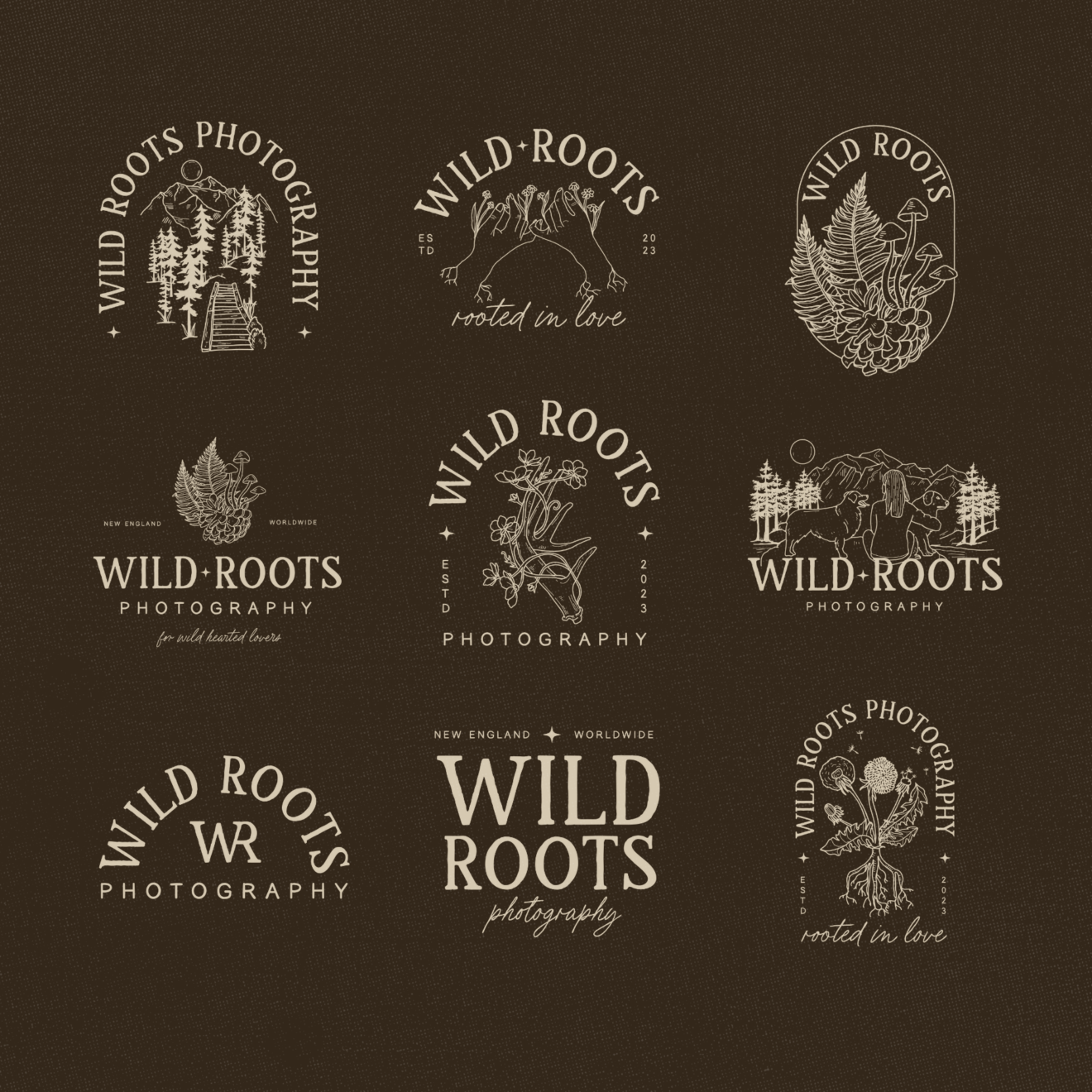 Brand design for Wild Roots Photography - kernandink.co.uk
